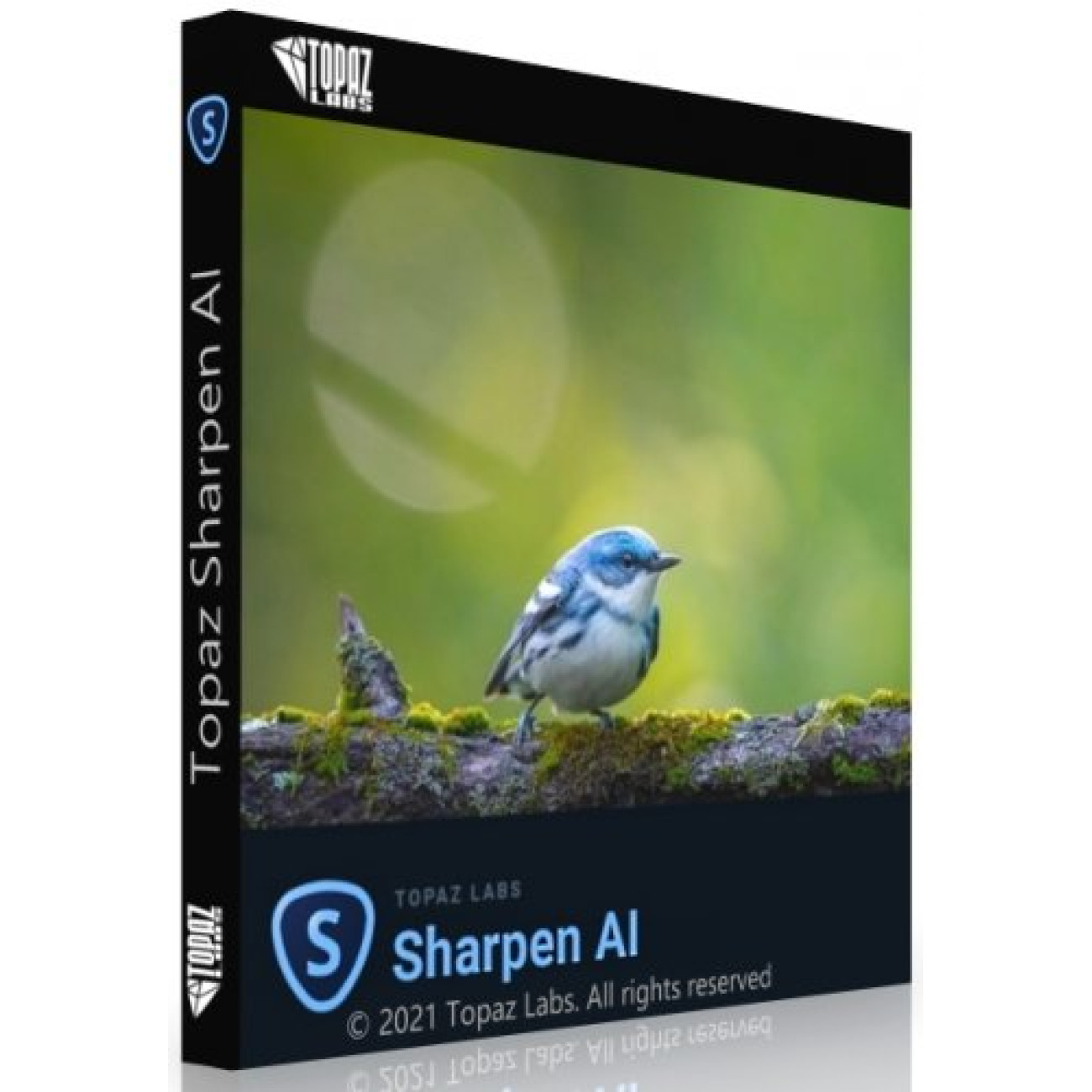 Установка Topaz Sharpen AI | Львов Сервис - профессиональные услуги по обработке фотографий